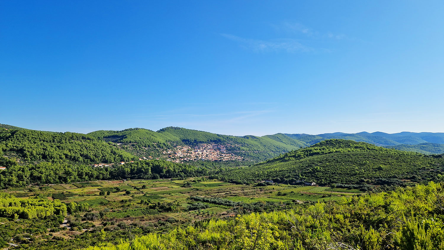 Wine & Oil - Visit Smokvica Brna